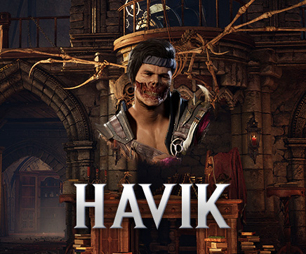 Havik Overview & Guide | Mortal Kombat 1 Kombo